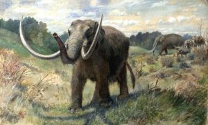 North America’s Pleistocene Megafauna | Montana Natural History Center