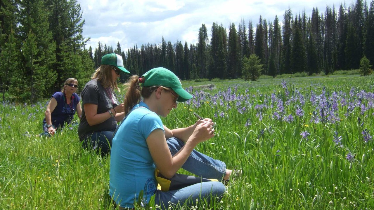 MNHC Master Naturalist Certification Courses | Montana Natural History ...