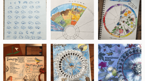 Make Your Own Phenology Wheel! | Montana Natural History Center
