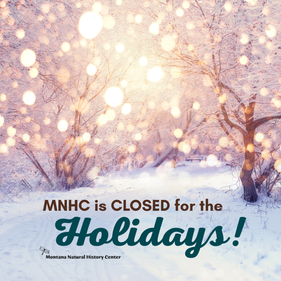 CLOSED for the HOLIDAYS! | Montana Natural History Center
