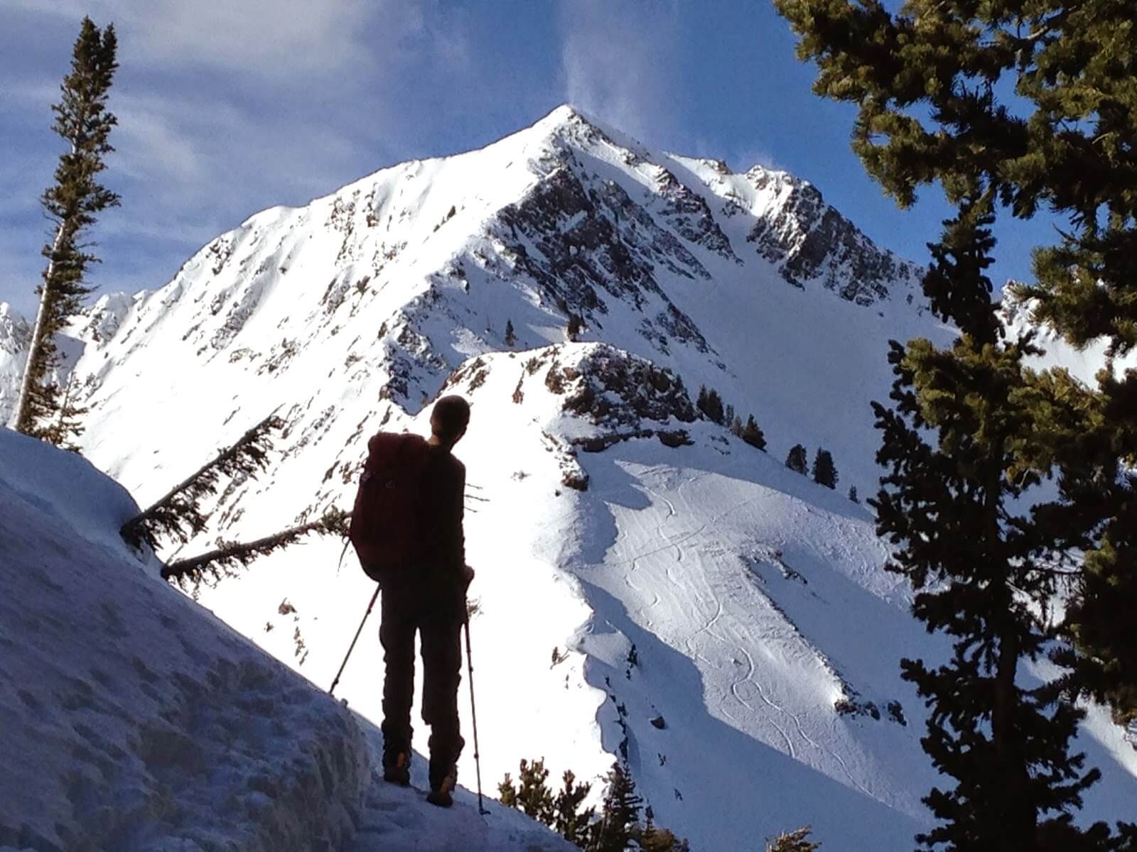 Traveling in the Backcountry: the essentials | Montana Natural History ...