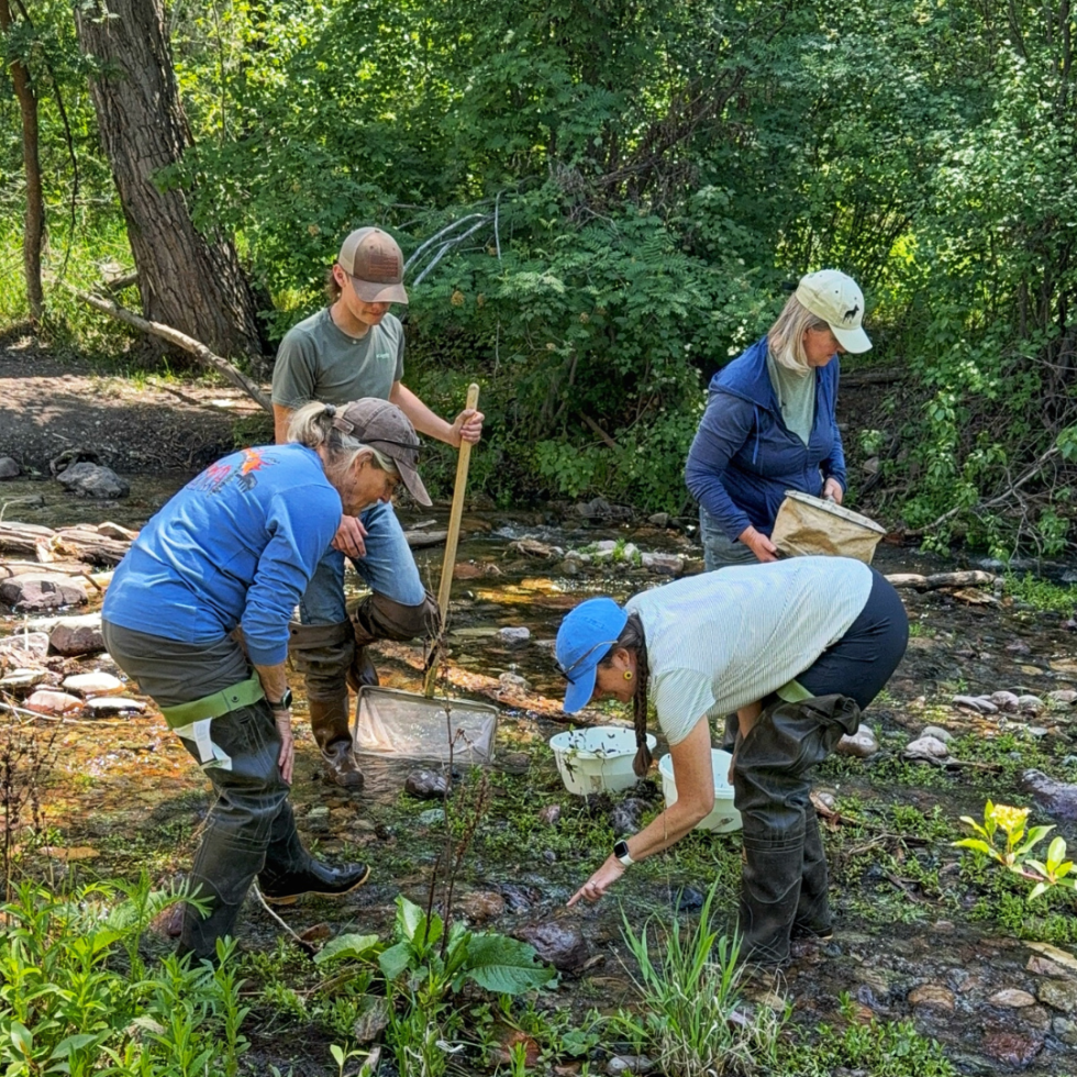 Spring 2026 Master Naturalist Certification – 12 Week Wednesday Course ...