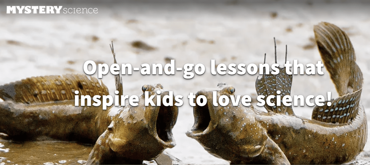 Free Online Educational Resources | Montana Natural History Center